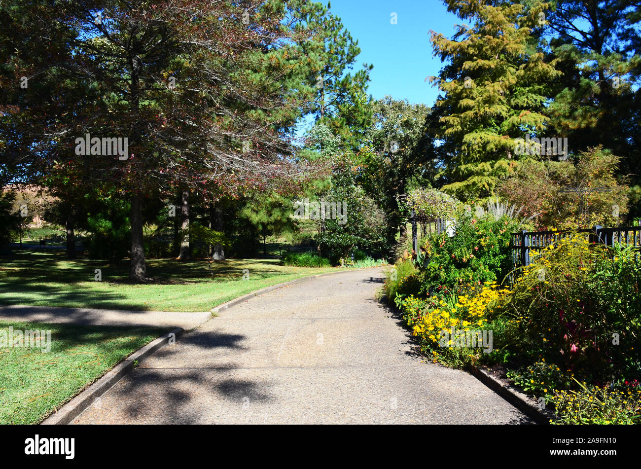 Tyler Rose Garden in Tyler, Texas Stock Photo - Alamy