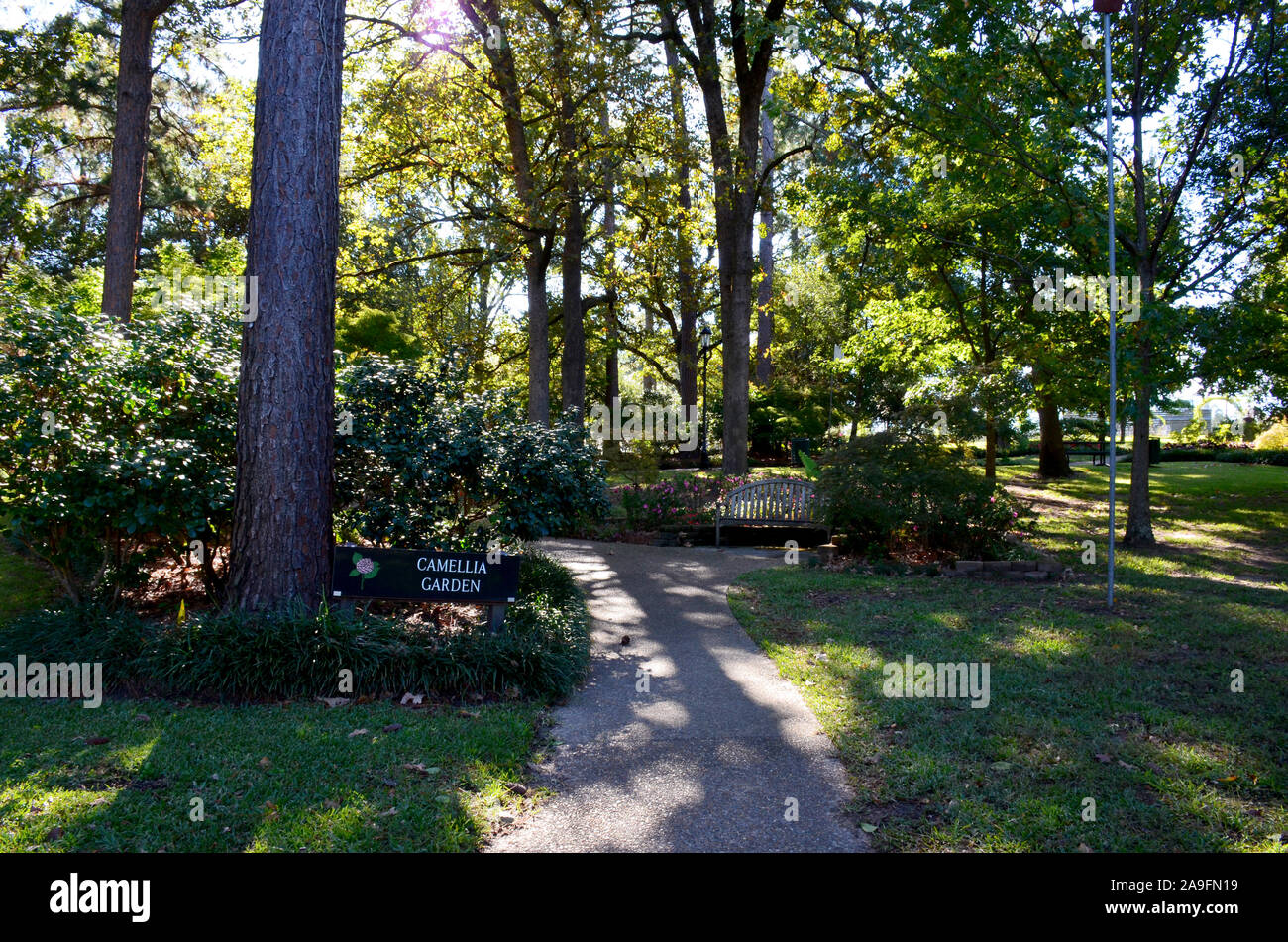 Tyler Rose Garden in Tyler, Texas Stock Photo - Alamy