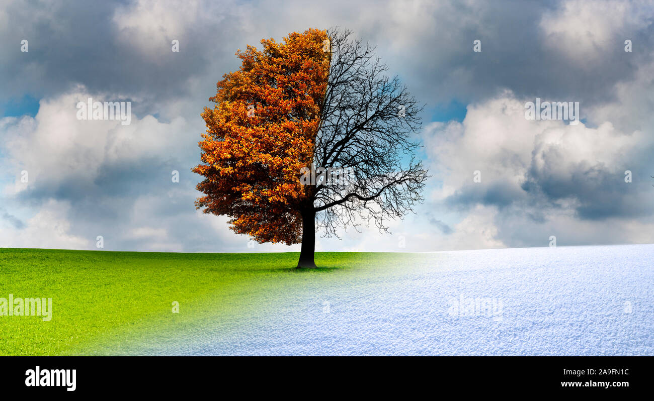 Change of the seasons hi-res stock photography and images - Alamy