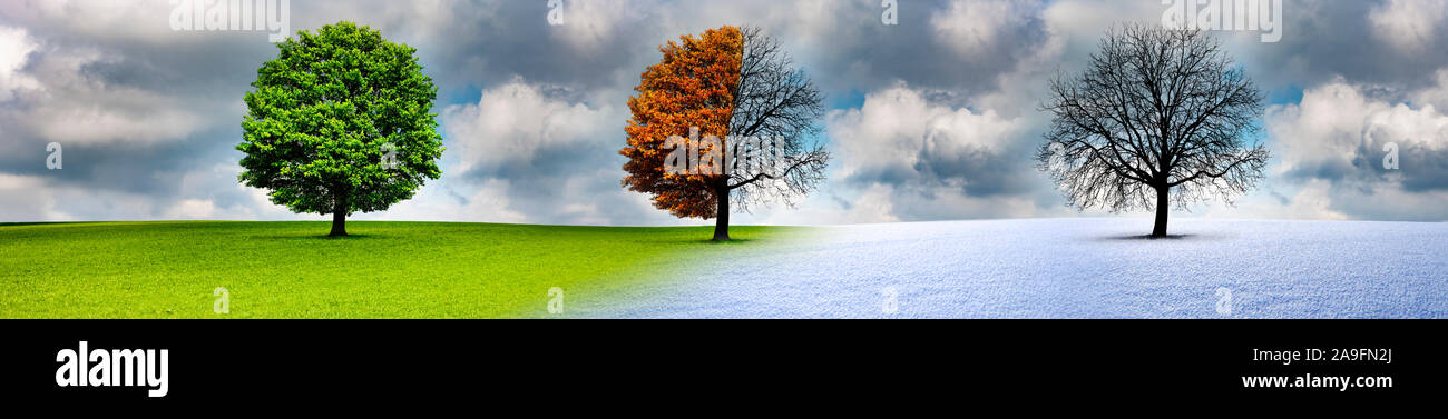 Change of the seasons hi-res stock photography and images - Alamy