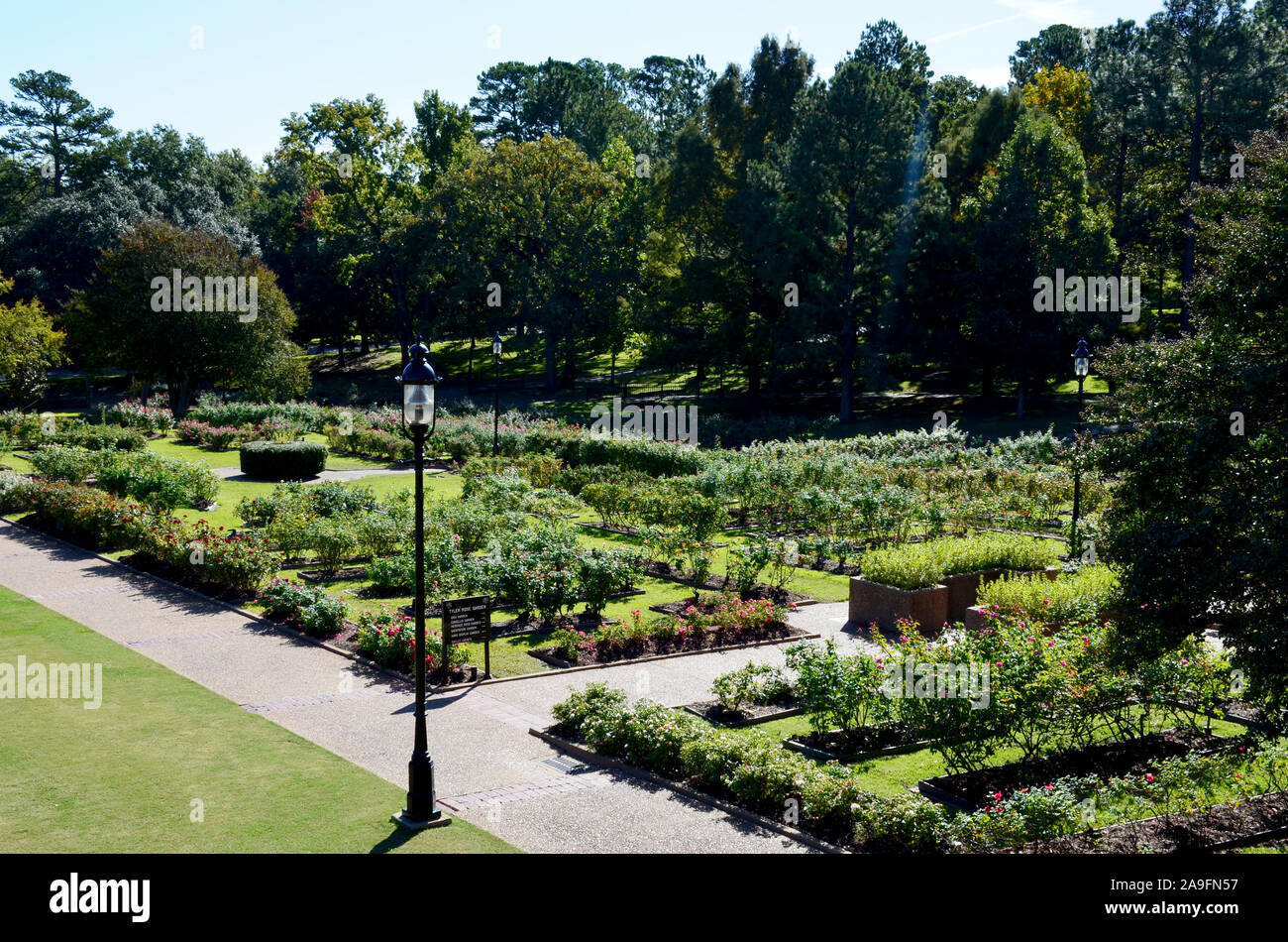 Tyler Rose Garden in Tyler, Texas Stock Photo - Alamy