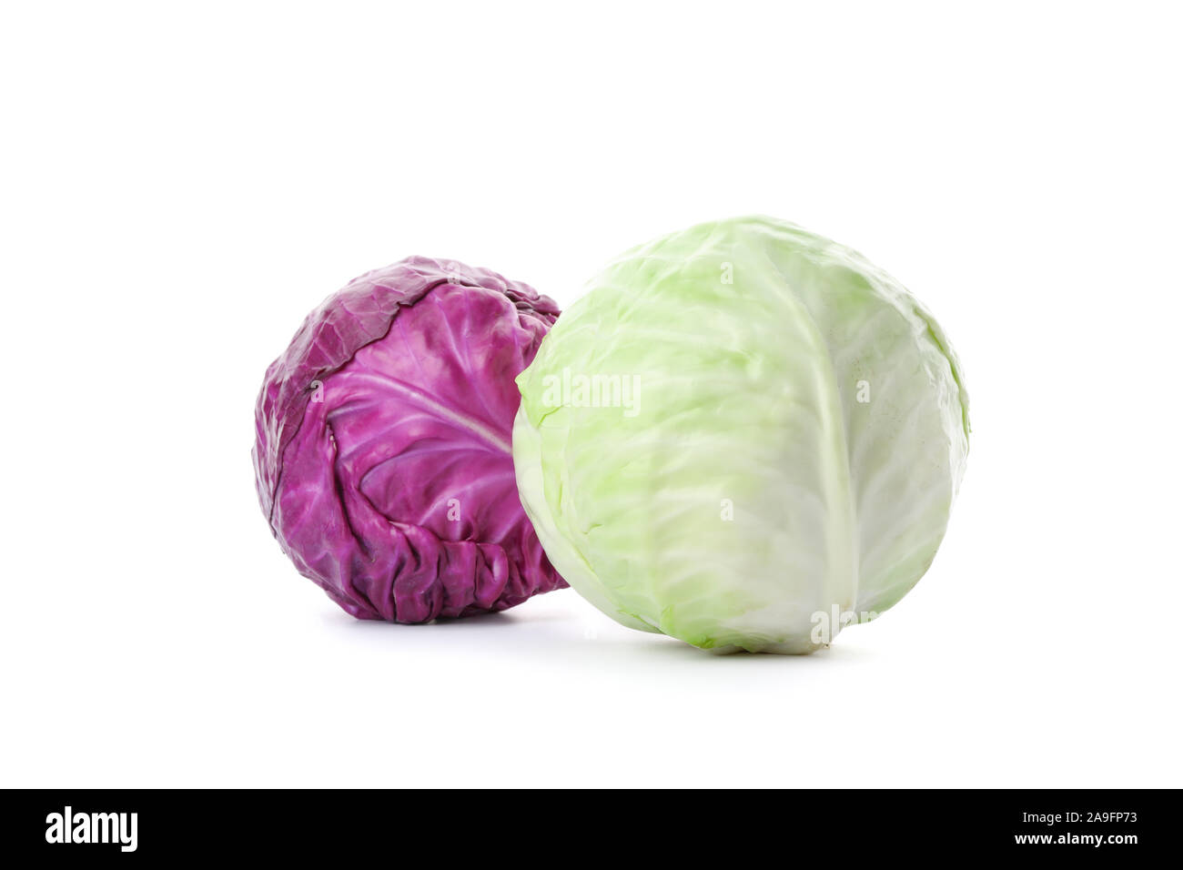 Red and green cabbage isolated on white background Stock Photo - Alamy