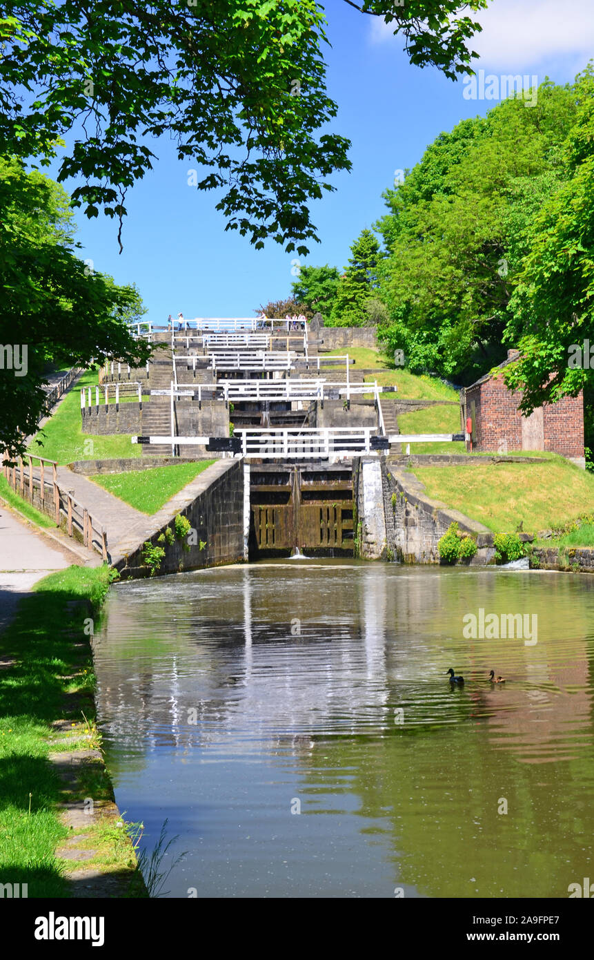 Five Rise Locks, Bingley, West Yorkshire, Summer Stock Photo - Alamy
