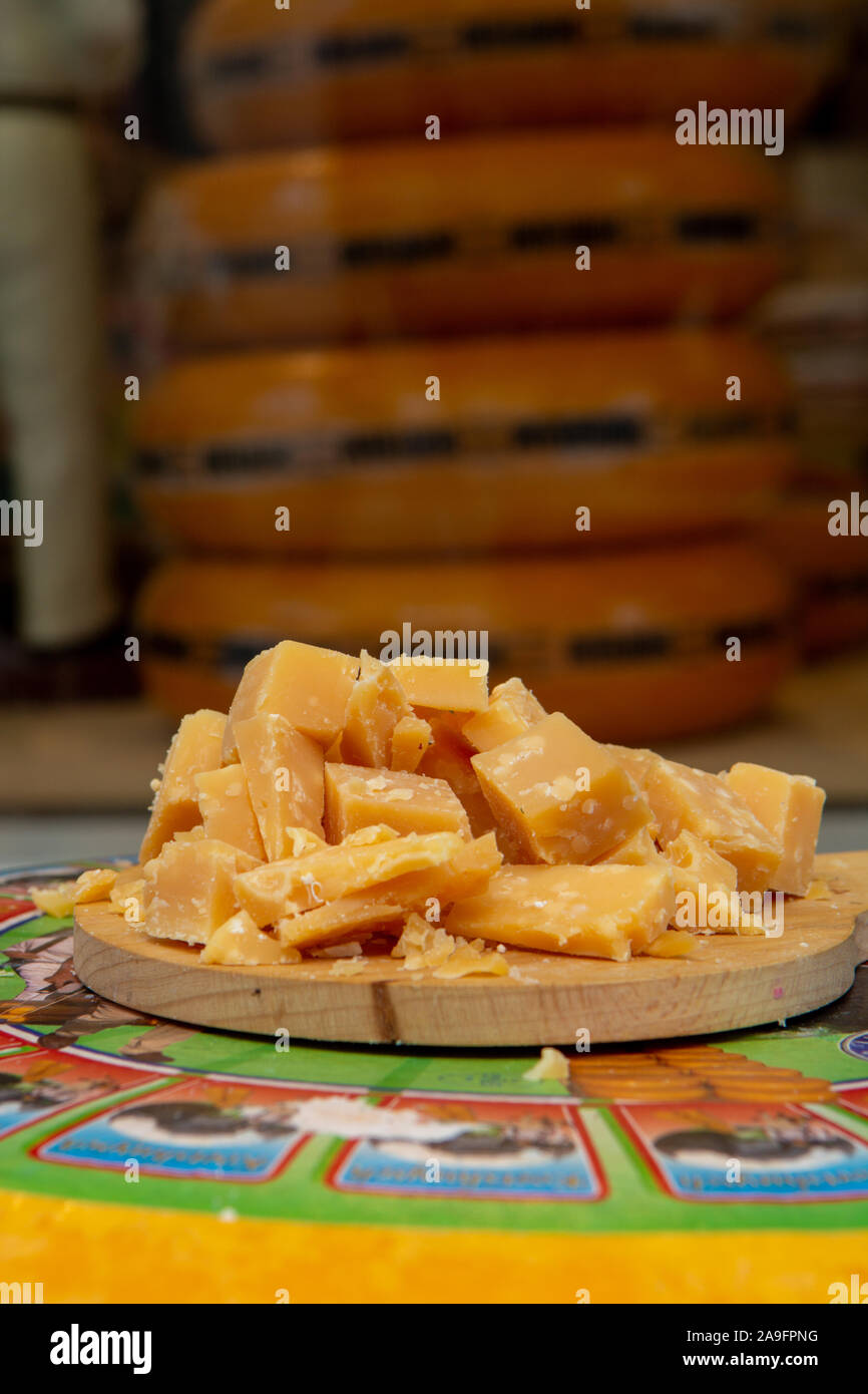 Tasting of old Dutch organic yellow cheese in blocks outside of cheese ...