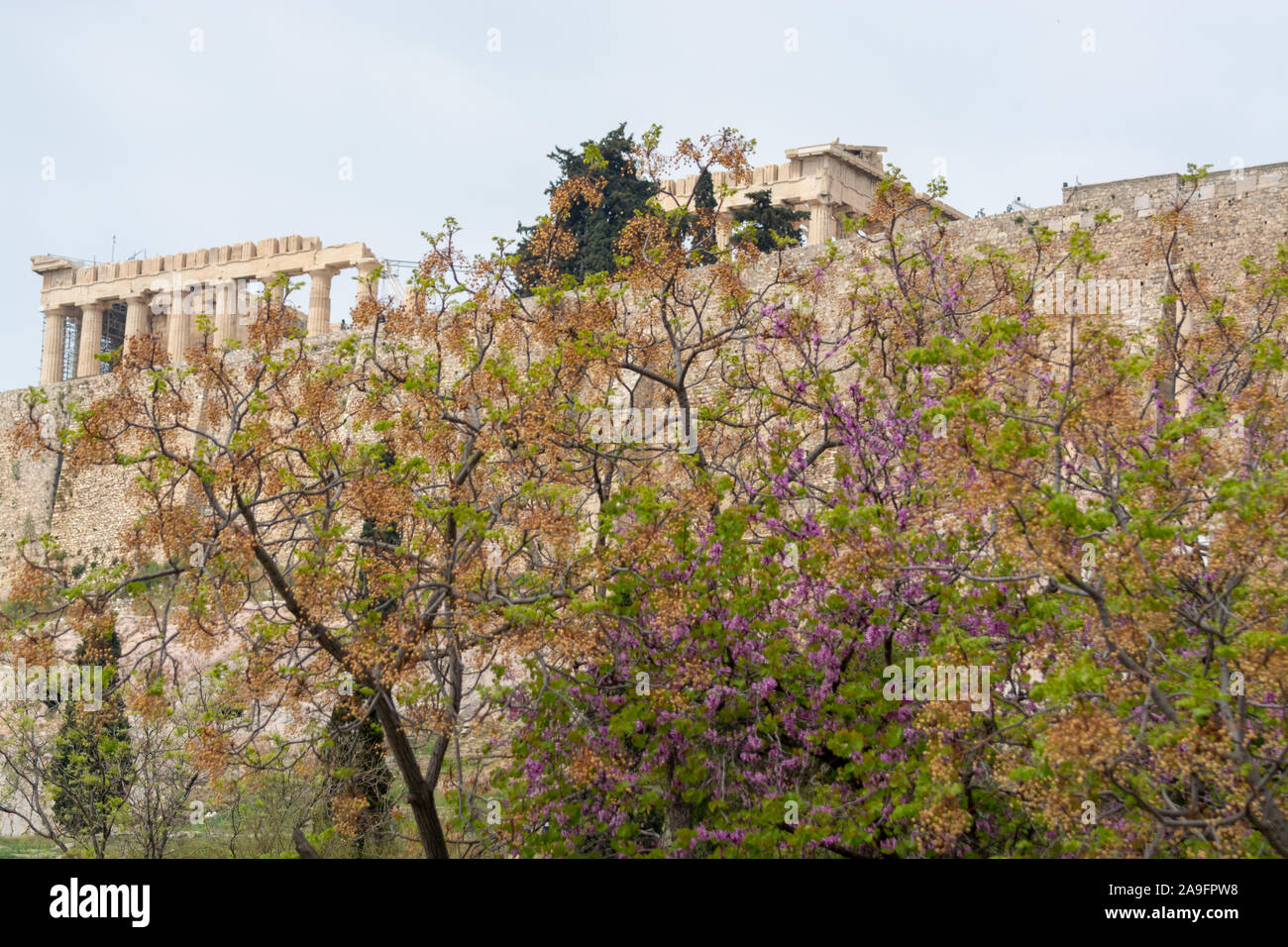 Parthenon temple spring trees hi-res stock photography and images - Alamy
