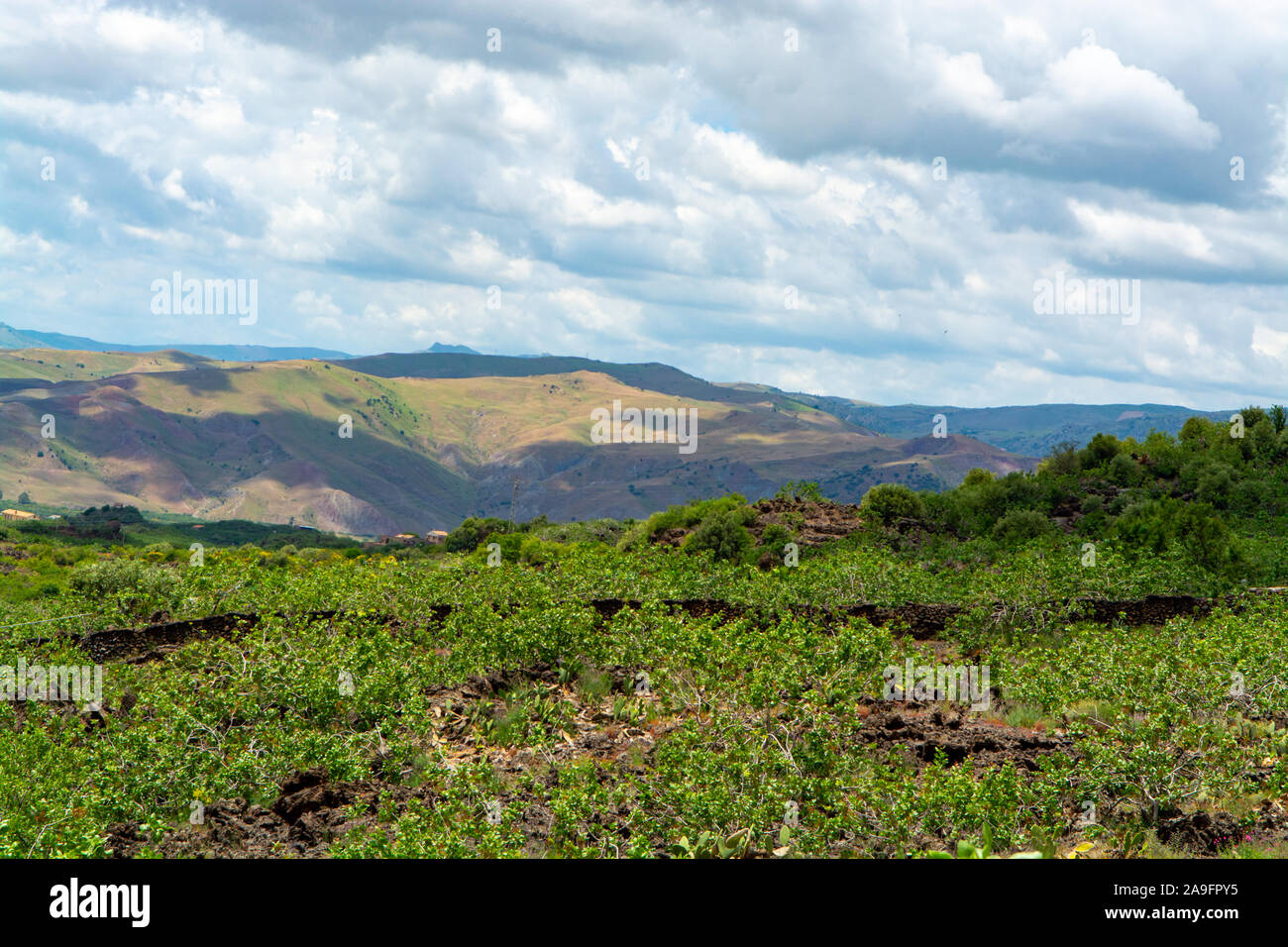 Landscape with mountain range and valley near Bronte, pistachio trees ...