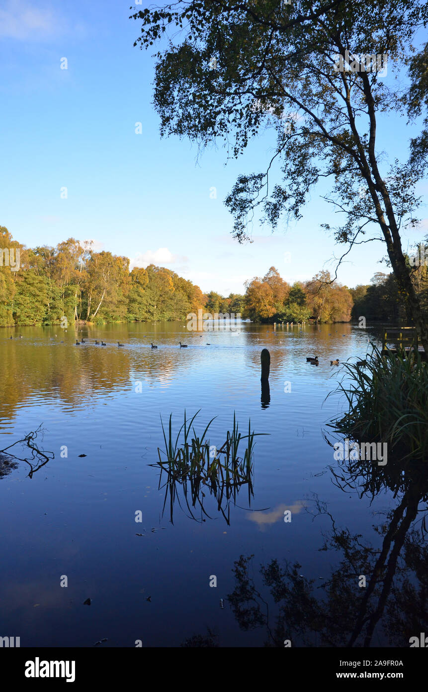 Bingley st ives estate hi-res stock photography and images - Alamy