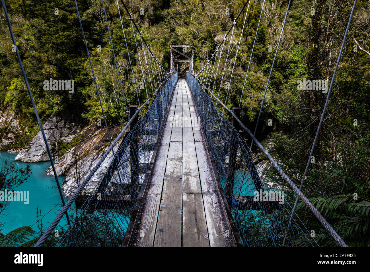 Forest rope bridge hike hi-res stock photography and images - Alamy