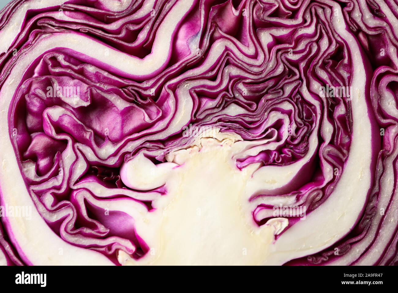 Red cabbage texture on whole background, close up Stock Photo - Alamy