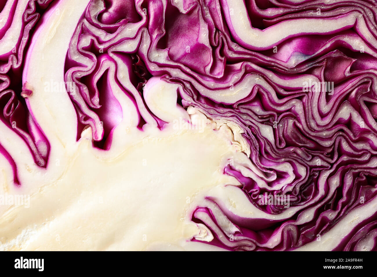 Red cabbage texture on whole background, close up Stock Photo - Alamy