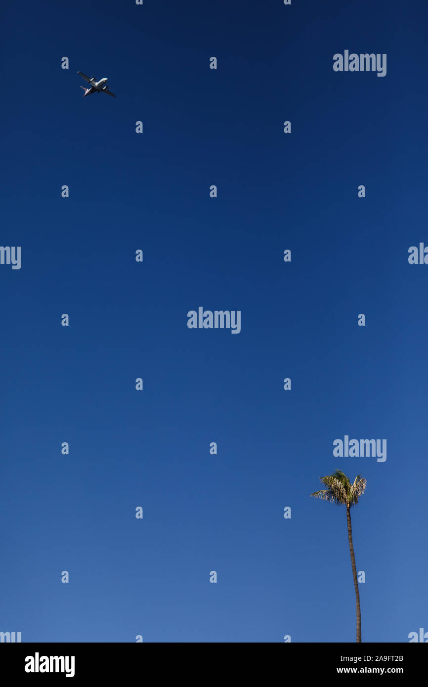 Plane over palm tree hi-res stock photography and images - Alamy