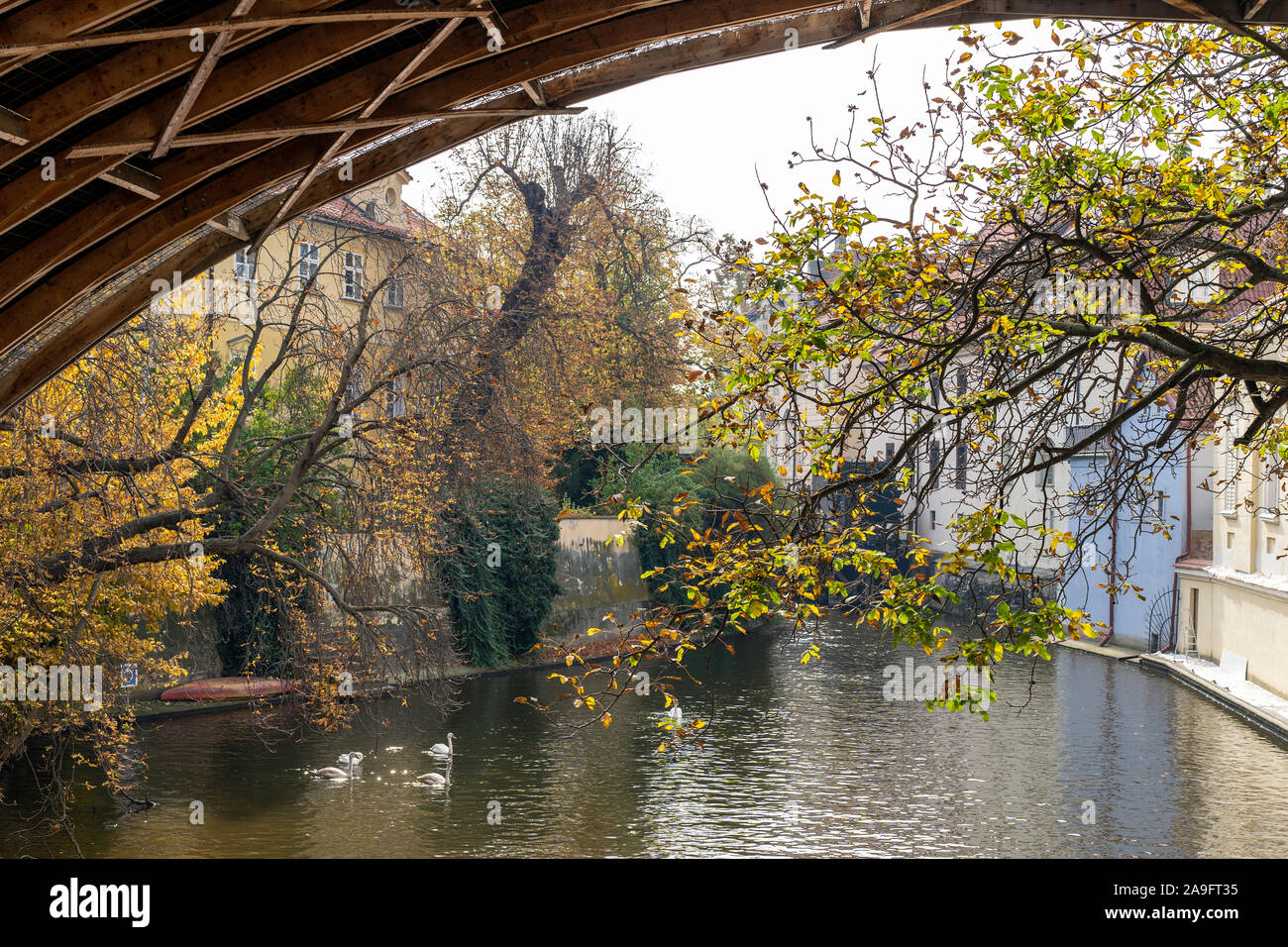 Lower Town channel with swans under bridge Stock Photo - Alamy