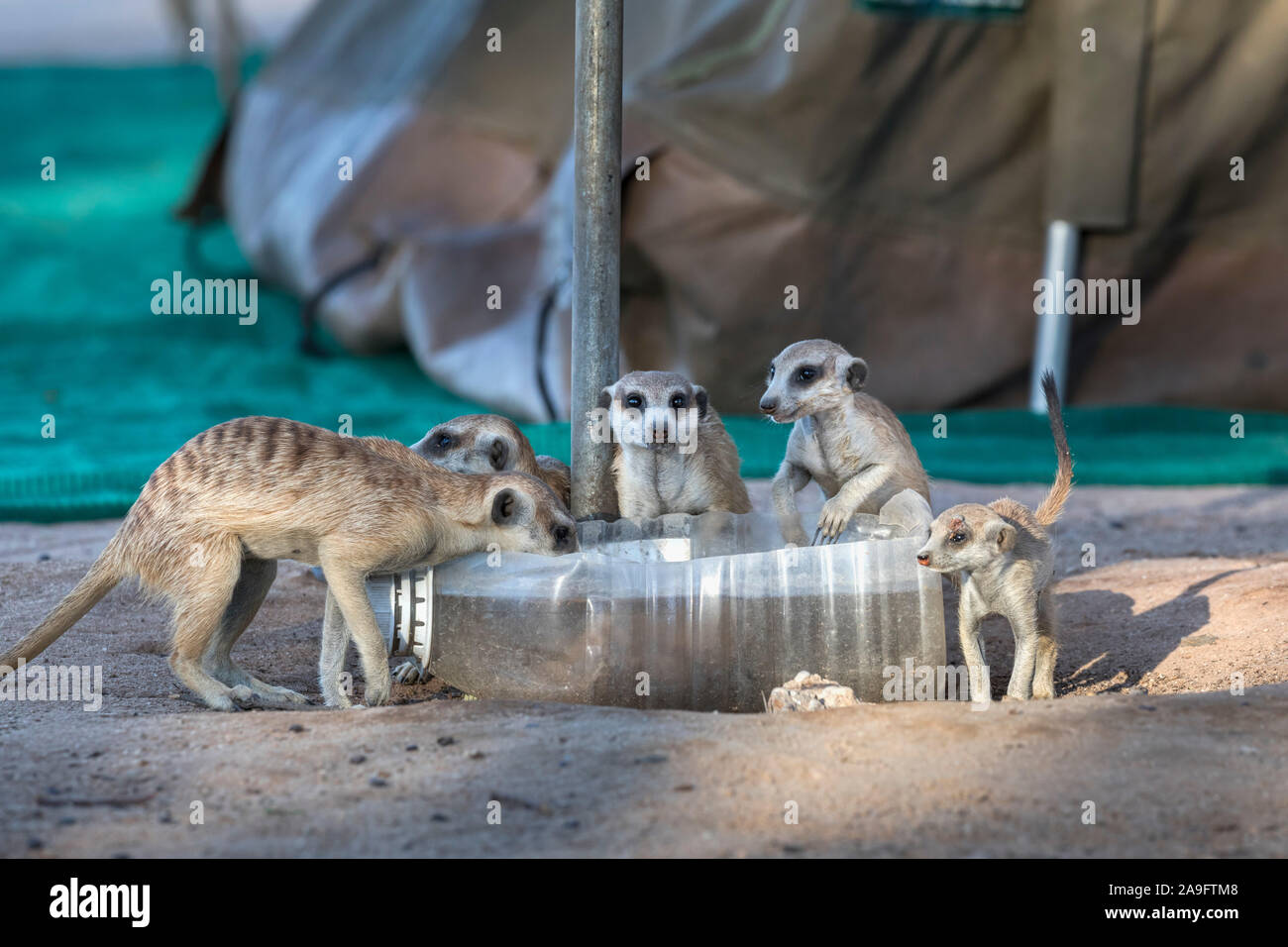 Drinking water tap africa hi-res stock photography and images - Alamy