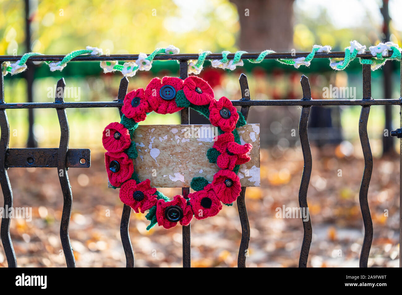 Remembrance Day, sometimes known informally as Poppy Day.A closeup of ...