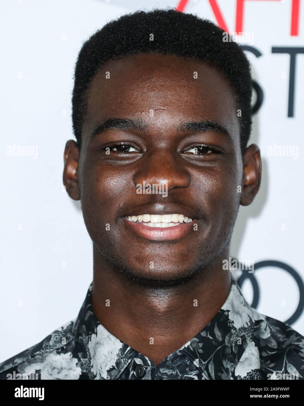 Hollywood, United States. 14th Nov, 2019. HOLLYWOOD, LOS ANGELES ...