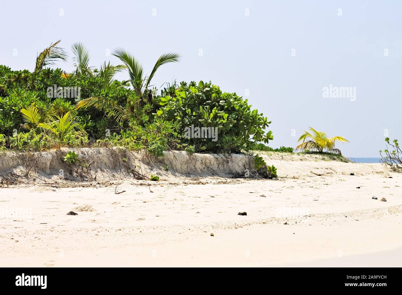 Desert islands maldives hi-res stock photography and images - Alamy