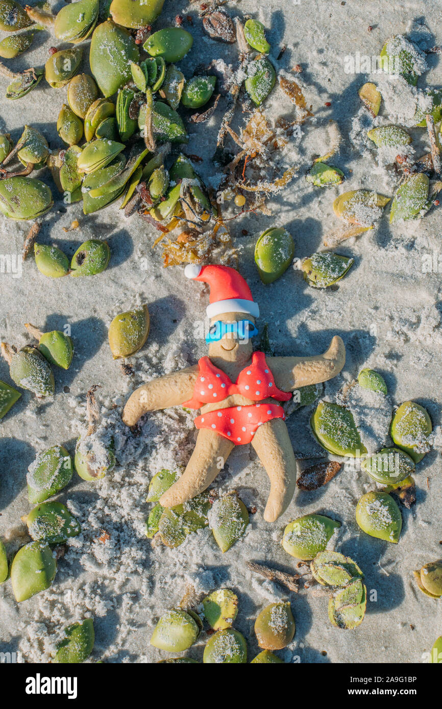 Snow bikini hi-res stock photography and images - Alamy