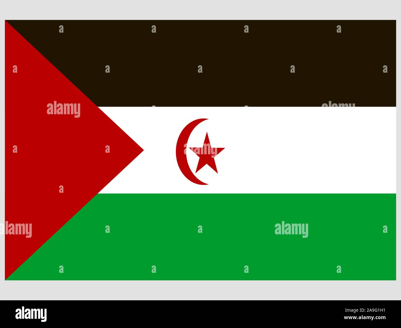 Beautiful national flag of Sahrawi Arab Democratic Republic. Simply ...