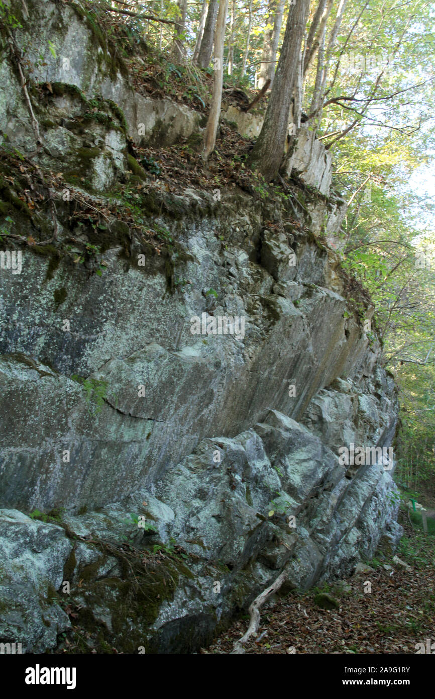 Rock slide trees hi-res stock photography and images - Alamy