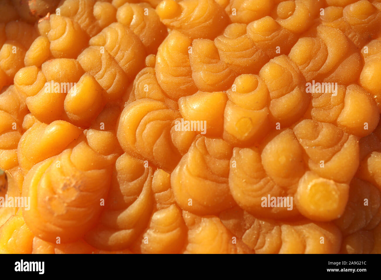 Beeswax light shadow hi-res stock photography and images - Alamy