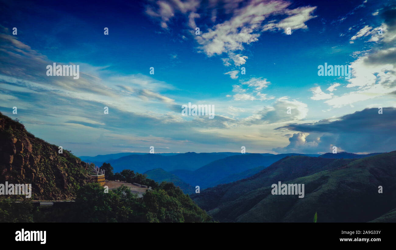 Alamy bird photo hi-res stock photography and images - Alamy