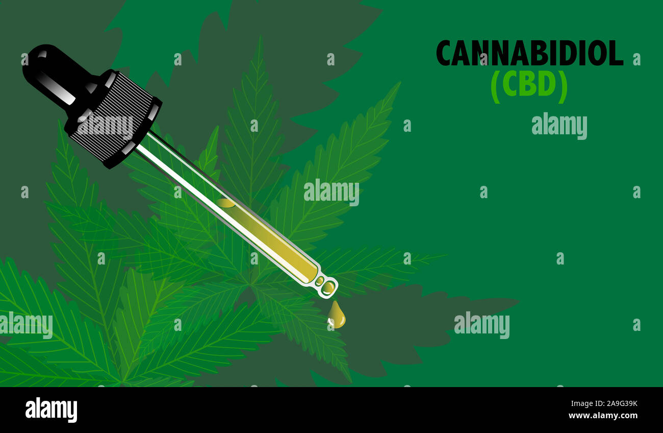 Illustration of CBD oil dropper and hemp leaf with copy space useful as ...