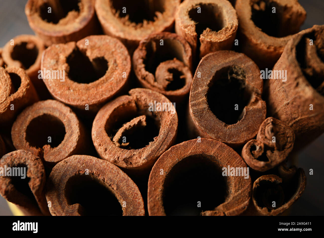 Cinnamon sticks texture on whole background, space for text and close ...