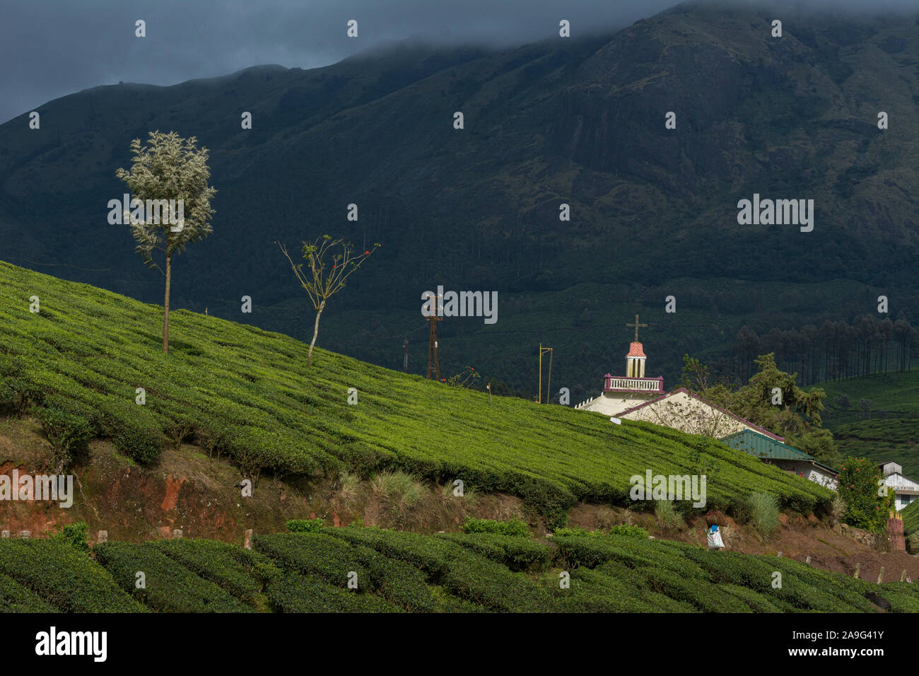 Munnar church hi-res stock photography and images - Alamy