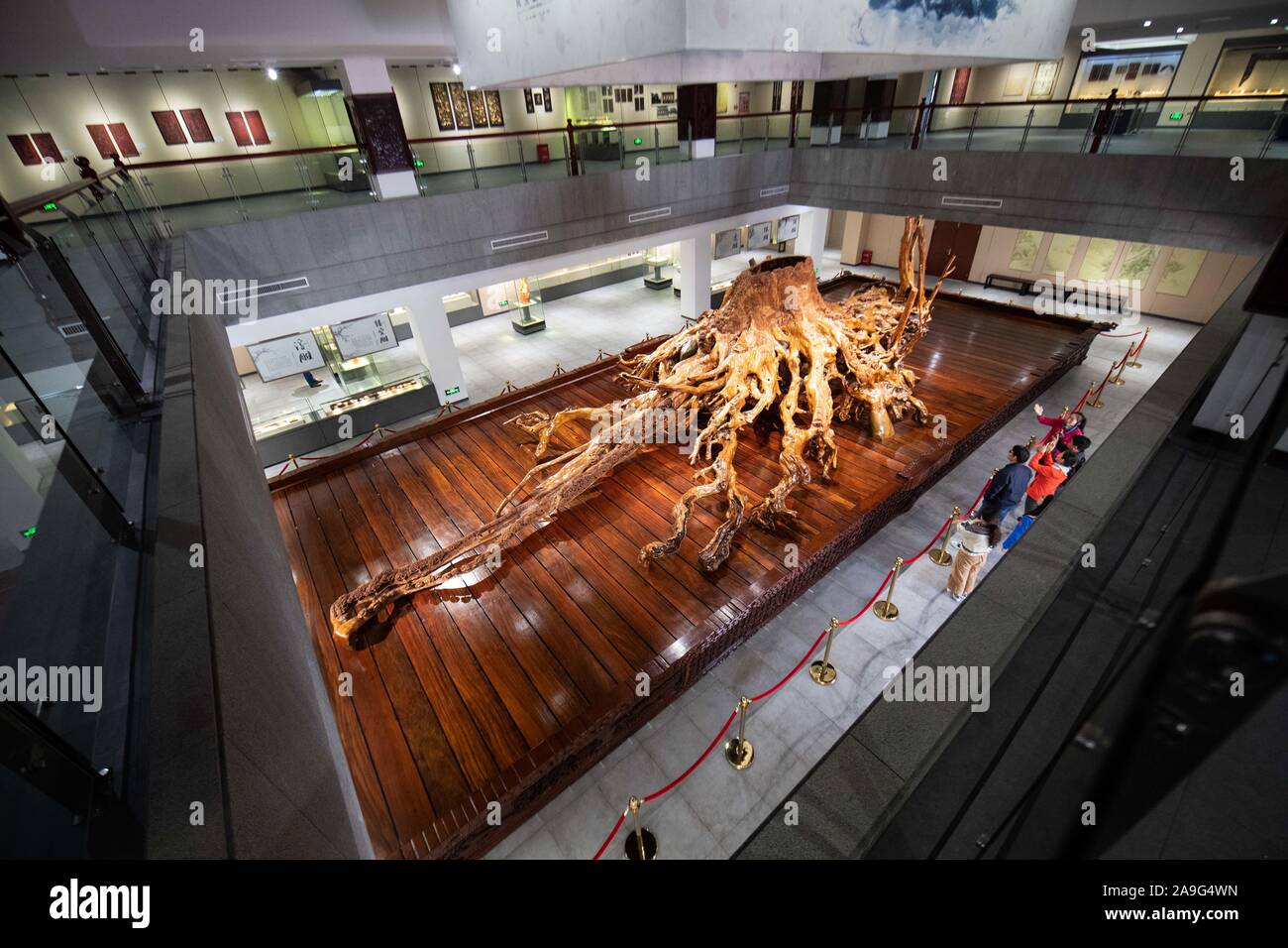 Changde, China's Hunan Province. 14th Nov, 2019. Visitors watch a root ...