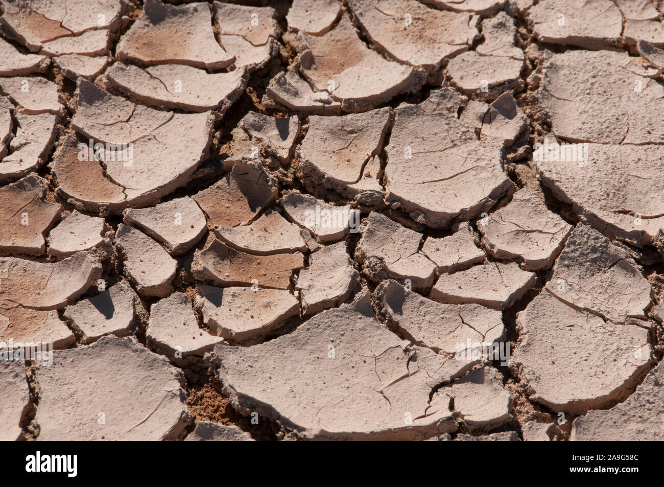 Cracked earth, details Stock Photo - Alamy