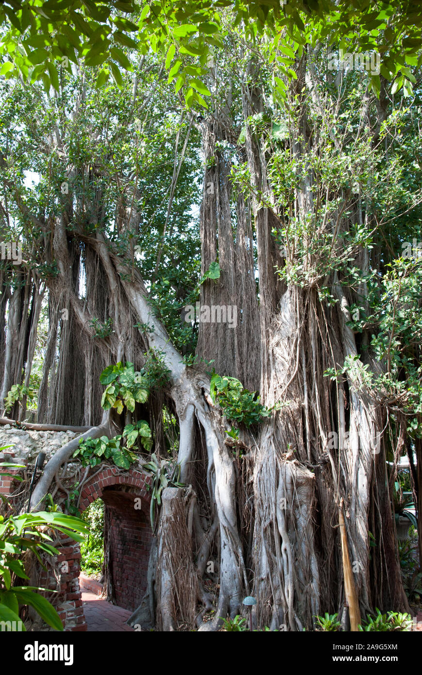 The entrance to Key West town botanical garden surrounded by exotic ...