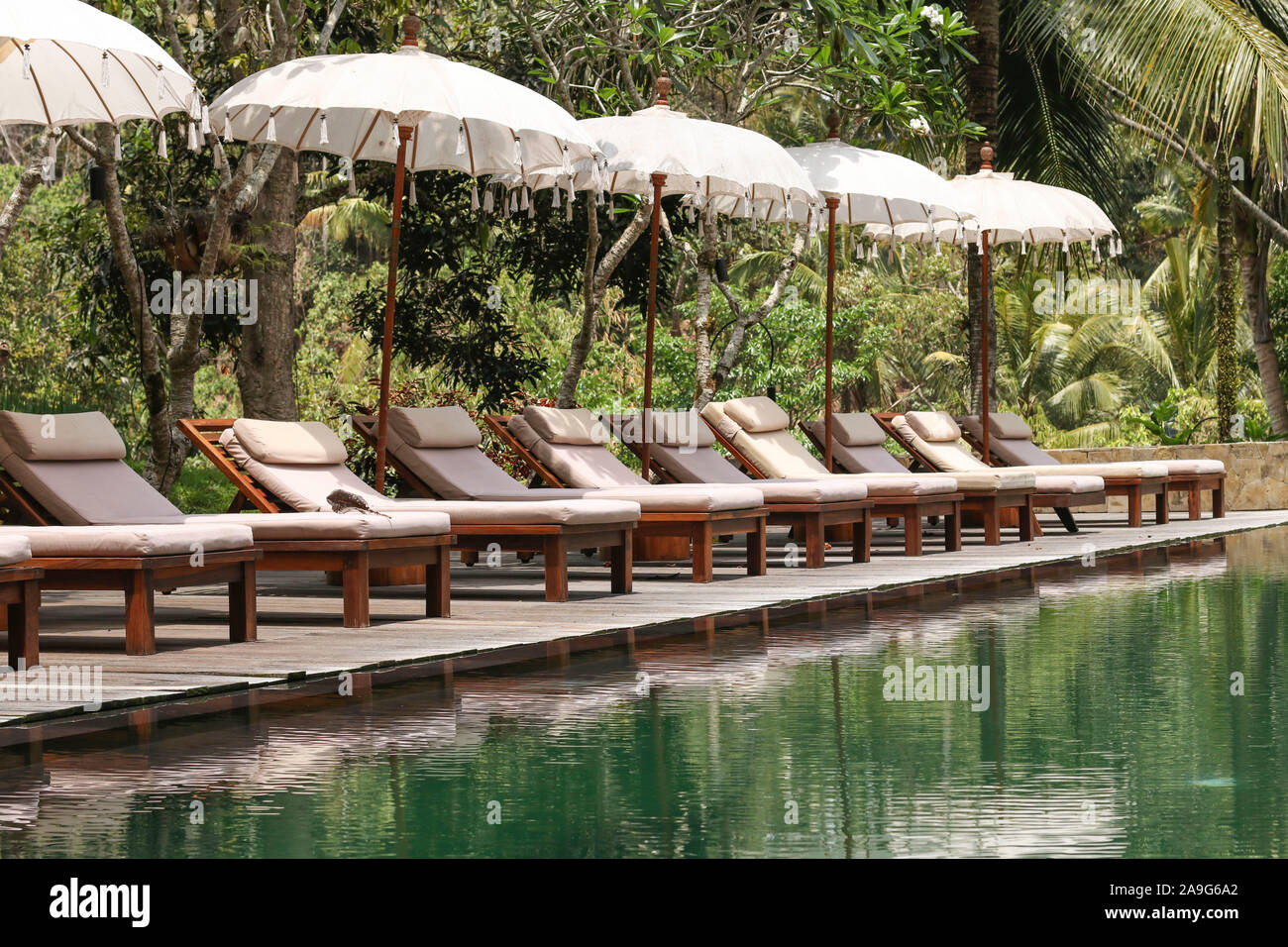 Infinity pool in a tropical garden, a relaxation area for tourists with ...
