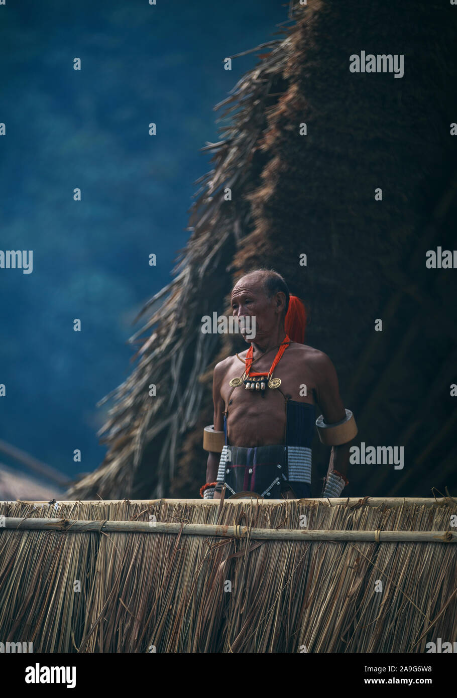 Portrait of a Naga Man in traditional Attire during Hornbill Festival ...