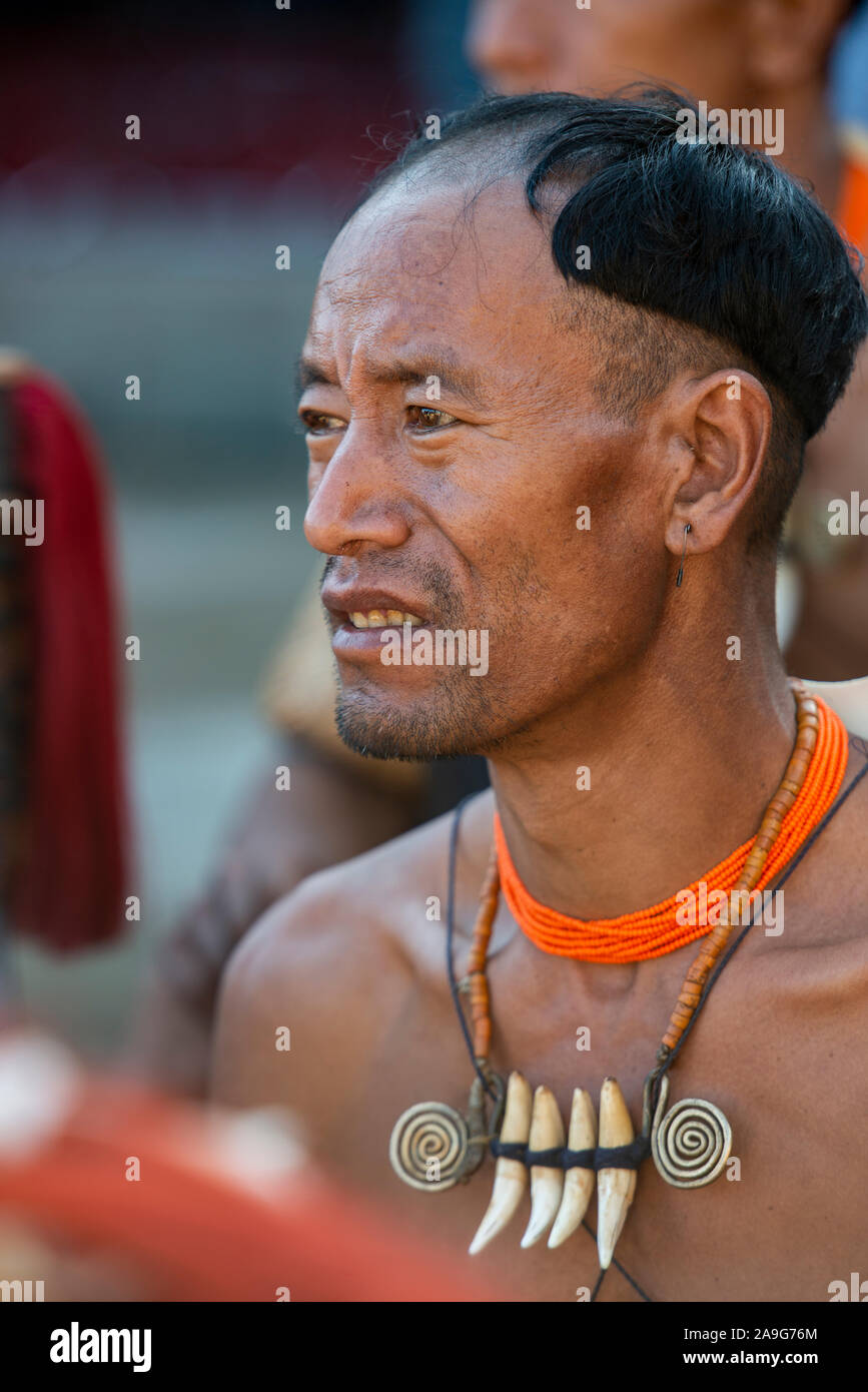 Portrait of a Naga Man in traditional Attire during Hornbill Festival ...