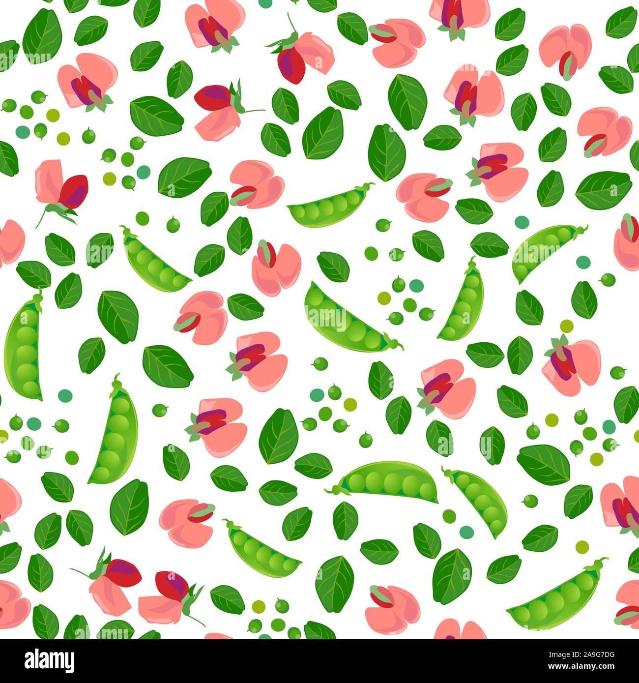 Red pea flower Stock Vector Images - Alamy