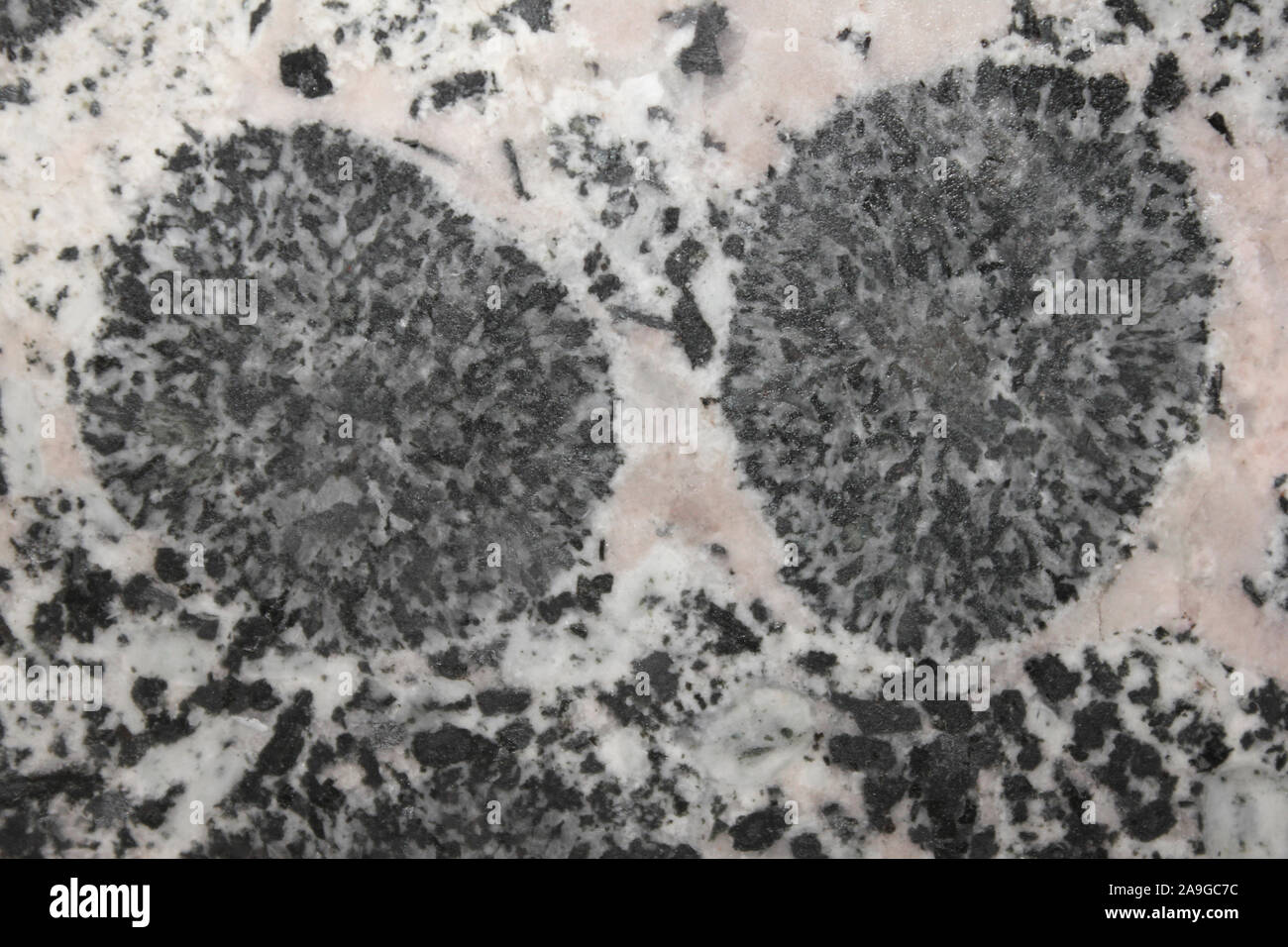 Orbicular Rock High Resolution Stock Photography and Images - Alamy