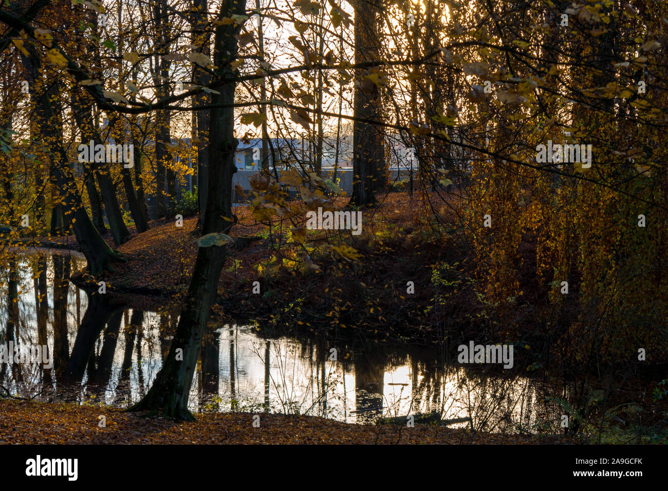 People reflection silhouette on green hi-res stock photography and ...