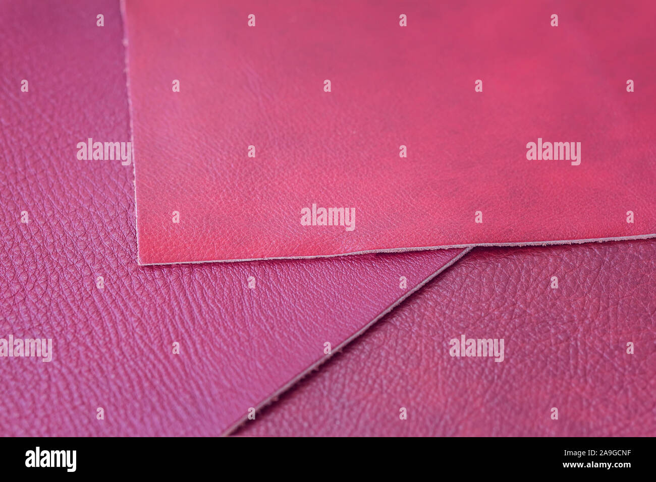 Samples of genuine leather, pink lilac colors. Texture pattern for ...