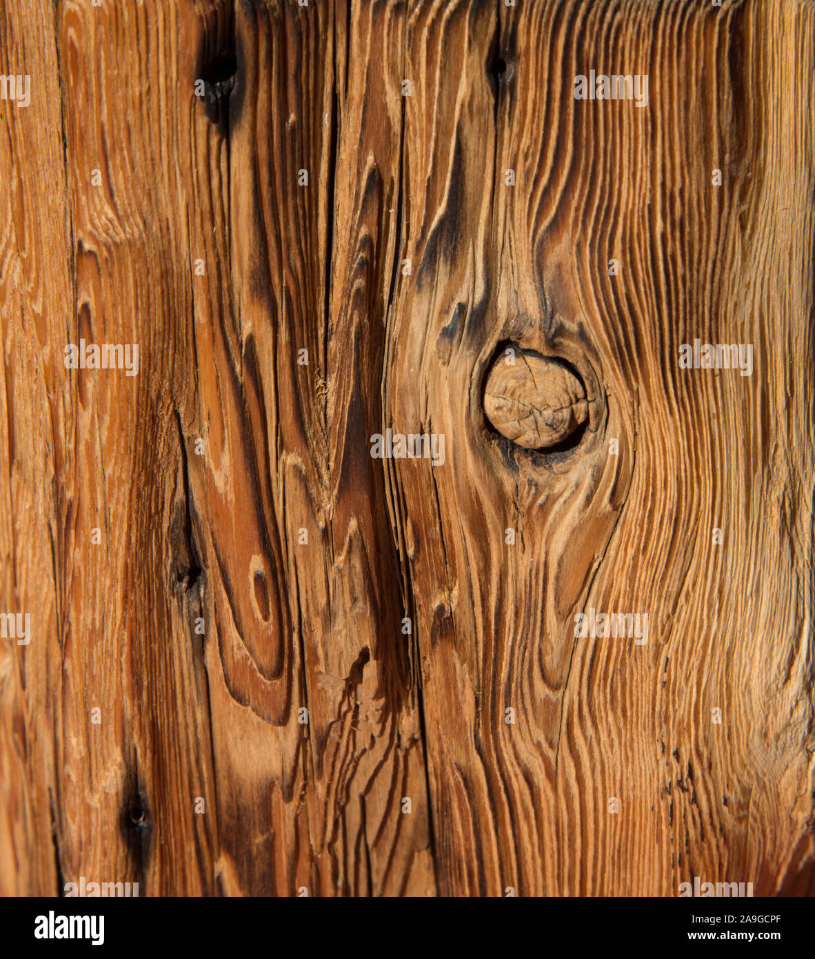 wood texture with freshly cut knots Stock Photo - Alamy