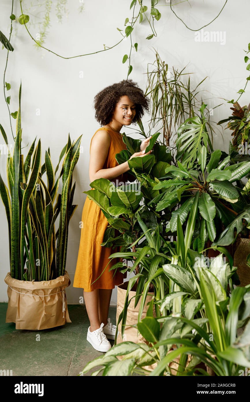 Beautiful woman botanist working at her indoor garden Stock Photo - Alamy
