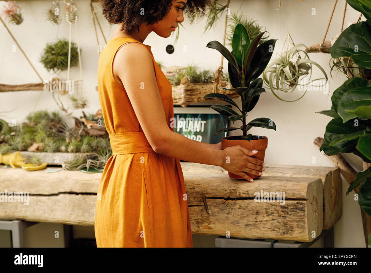Side view of young woman puts a plant on the table Stock Photo - Alamy