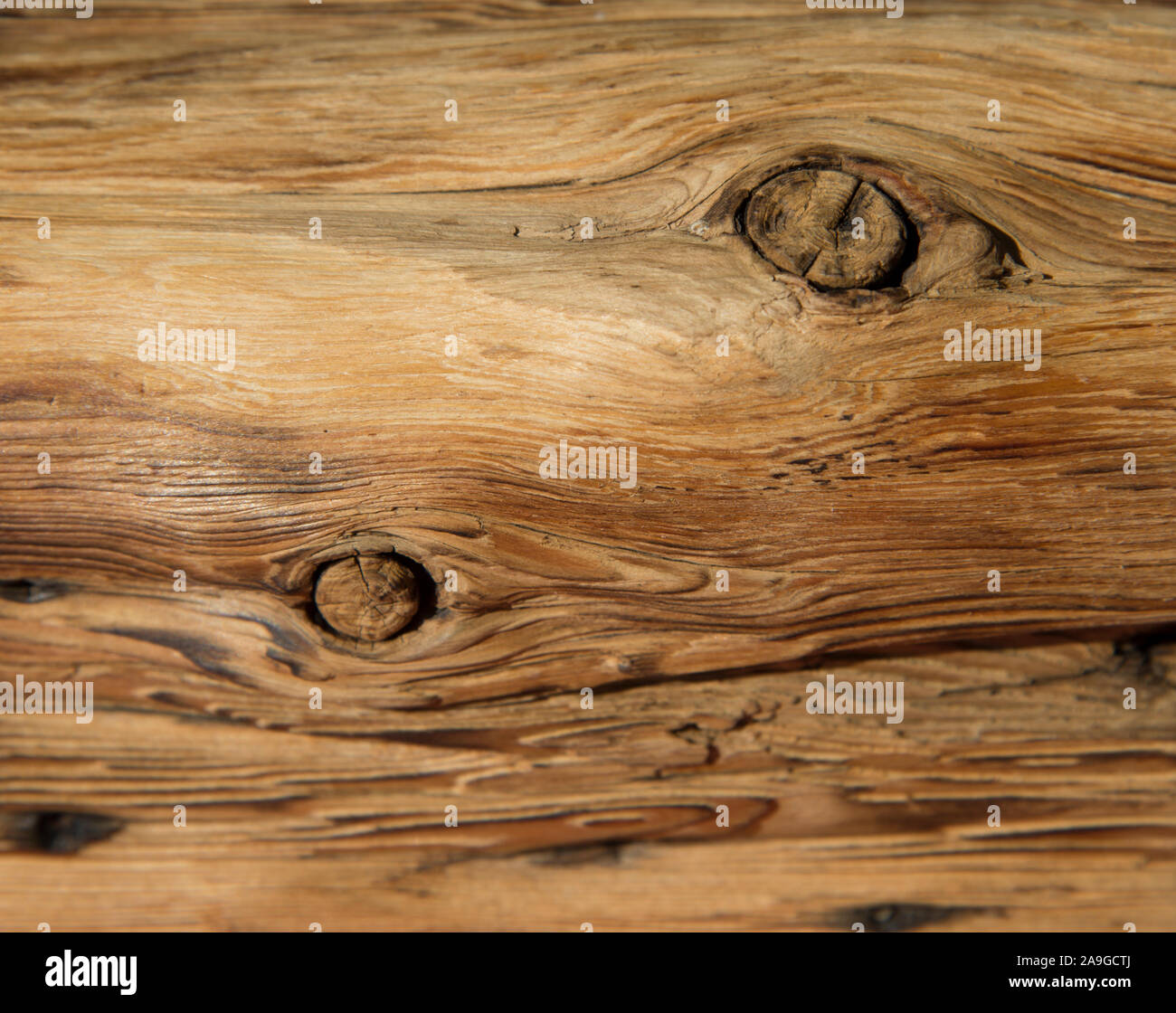 wood texture with freshly cut knots Stock Photo - Alamy