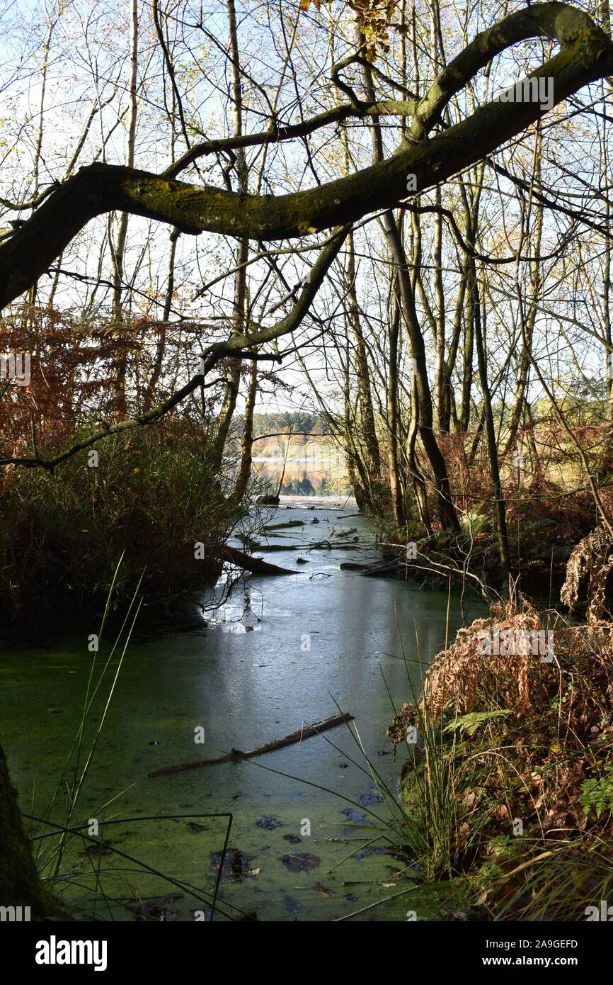 Blakemere hi-res stock photography and images - Alamy