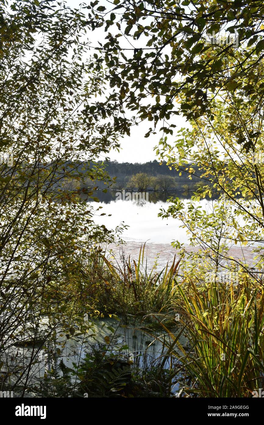 Blakemere hi-res stock photography and images - Alamy