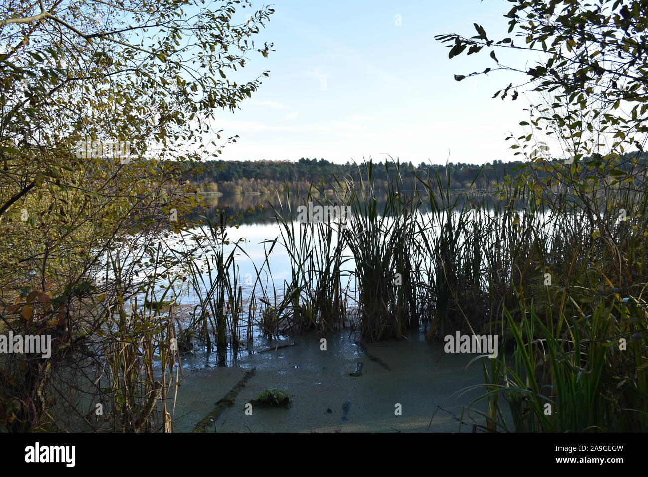Blakemere hi-res stock photography and images - Alamy