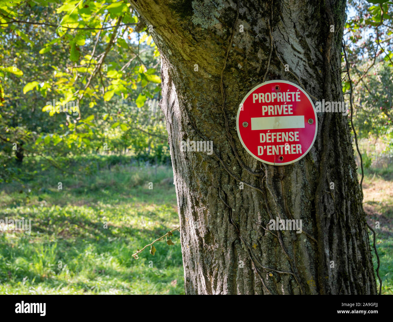 A french private property no entry sign on a tree in France, Proreiete ...