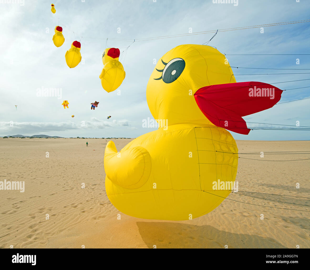 Duck kites hi-res stock photography and images - Alamy