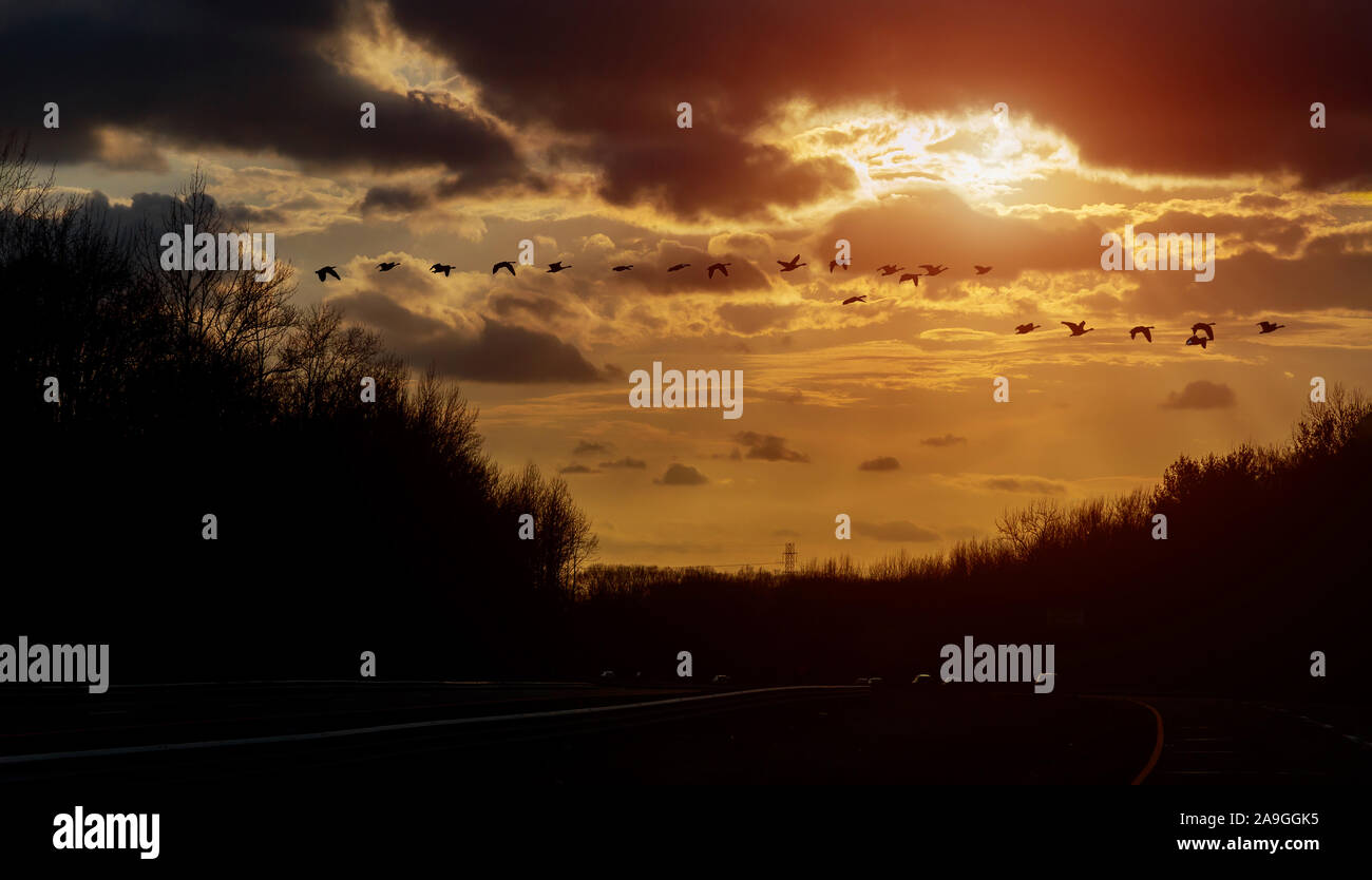 Driving in early morning to work sunrise road view with cars in front ...