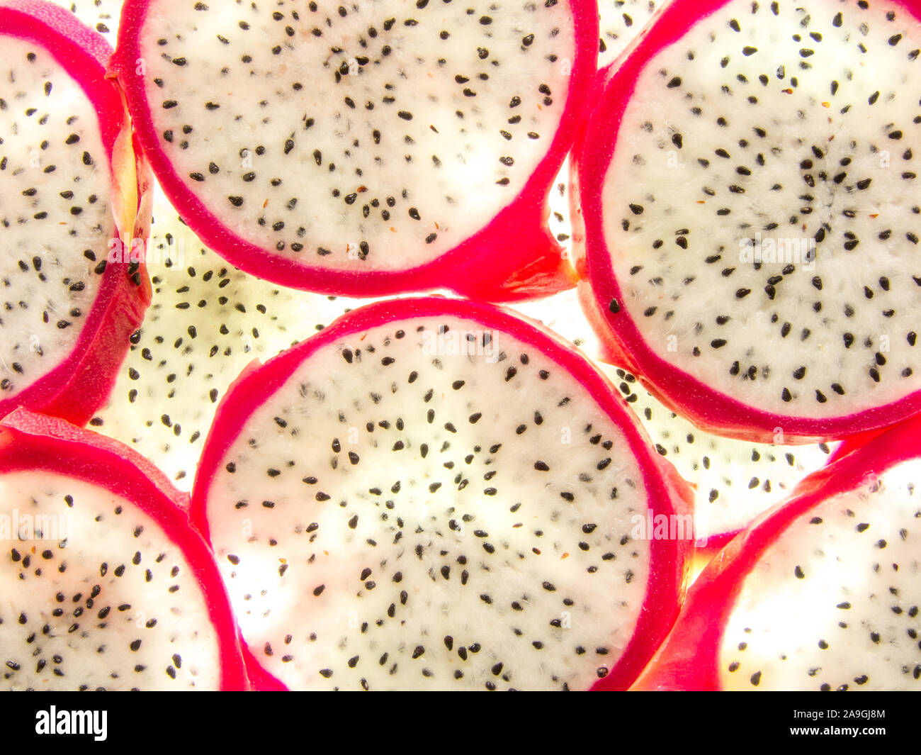 background of back lit fresh ripe pitaya dragon fruit slices Stock ...