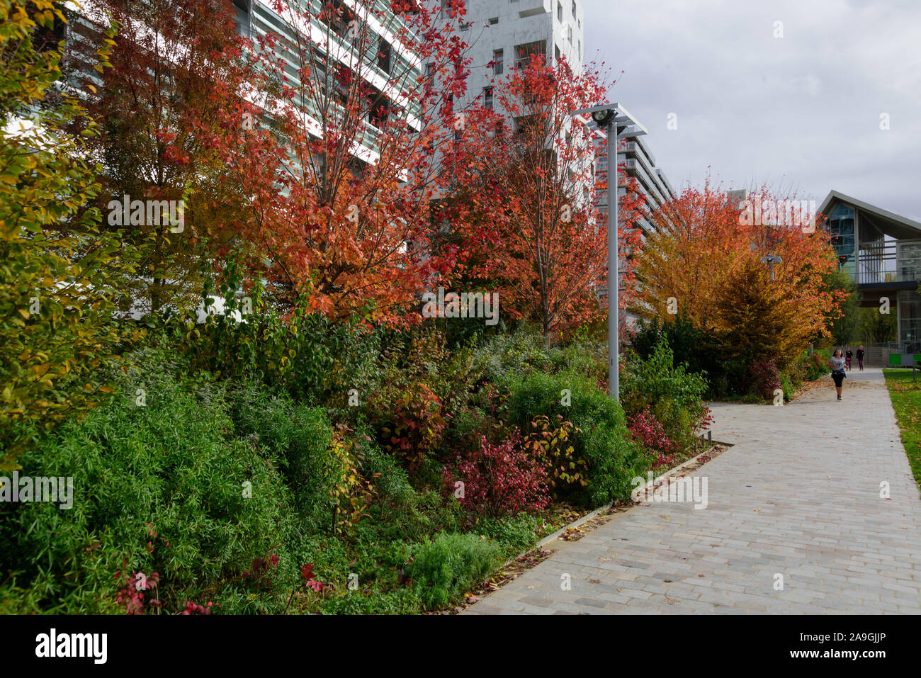 Paris, Stadtentwicklungsgebiet Clichy-Batignolles, Parc Martin Luther ...